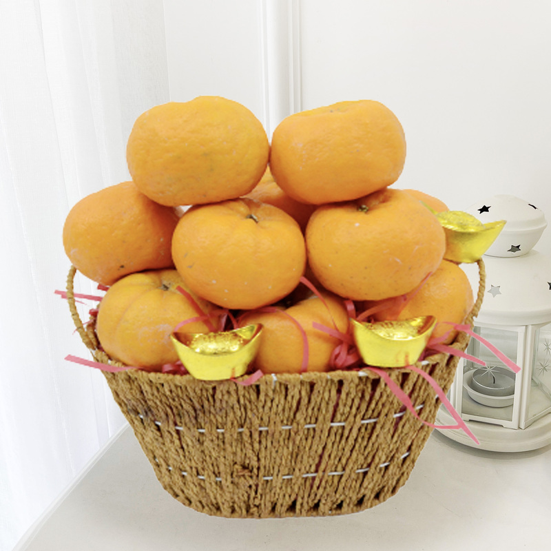 CNY Mandarin Orange 01 | Bloom